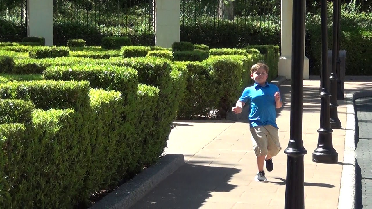 Running through the Hedge Maze - YouTube