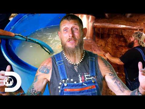Making Luxury Moonshine With Real Gold Flakes | Moonshiners