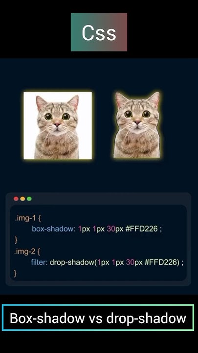 CSS Box-shadow Vs Drop-shadow/ Css Box-shadow Vs Drop-shadow Easily Understand #shorts #coding ...