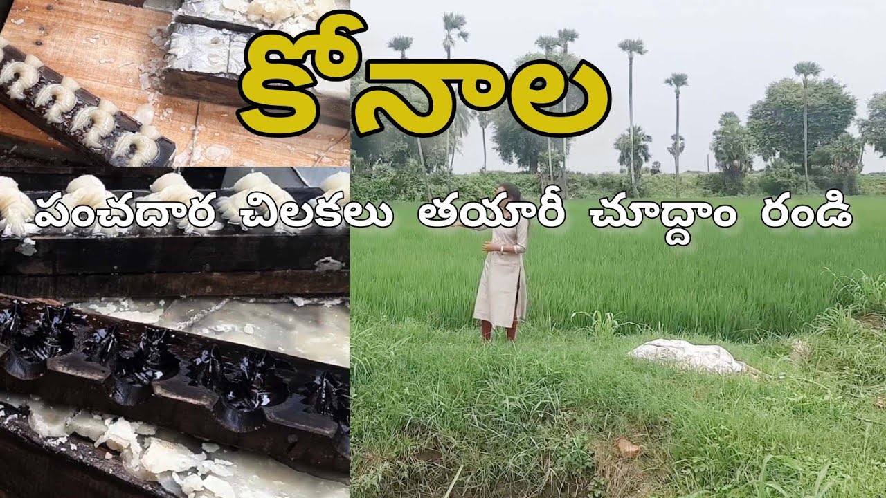కోనాల west godavari # village #trending #telugutraveller #traveller ...