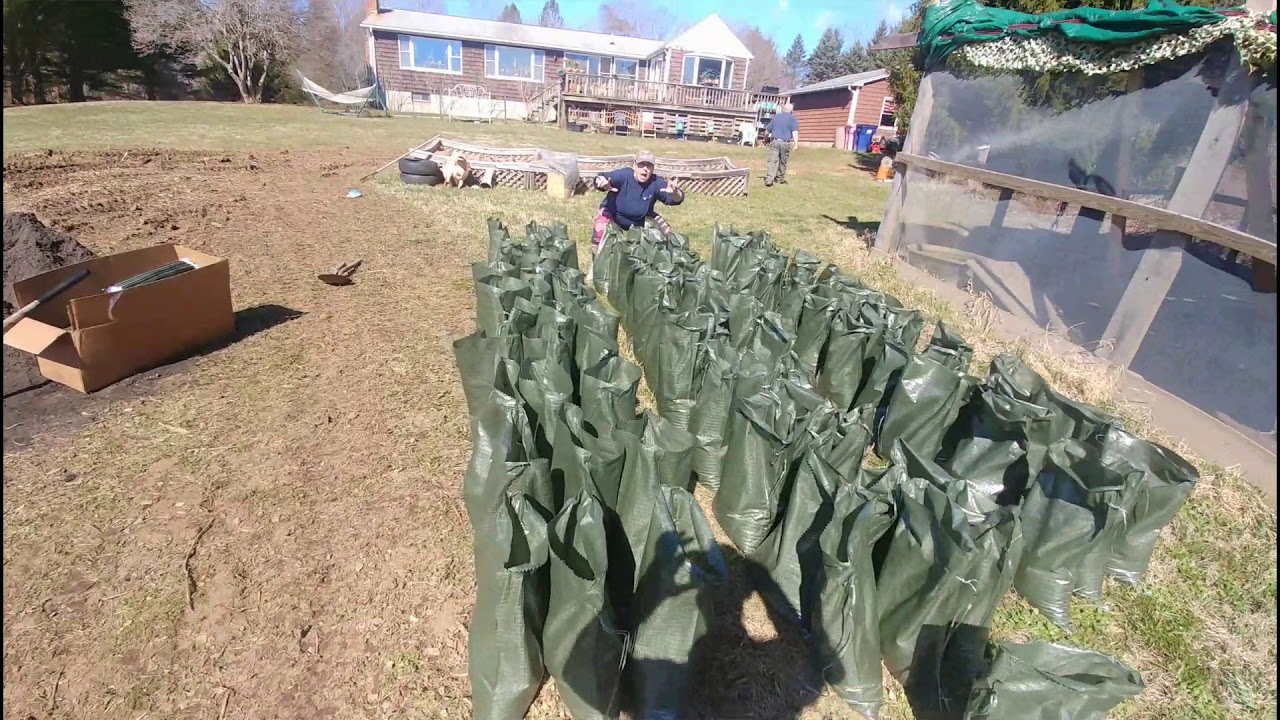 White Spruce Tree Farm Preparations March 2020 - YouTube