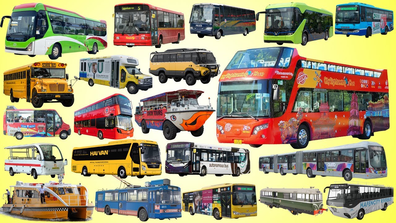 School Bus, Police Bus, Double-decker Bus, City Bus | Types of BUS ...