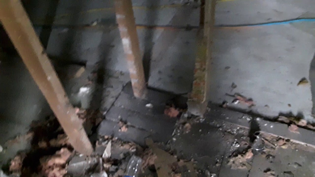 Première visite de la maison à Waltham, Minnesota (20 juin, 2020) - YouTube