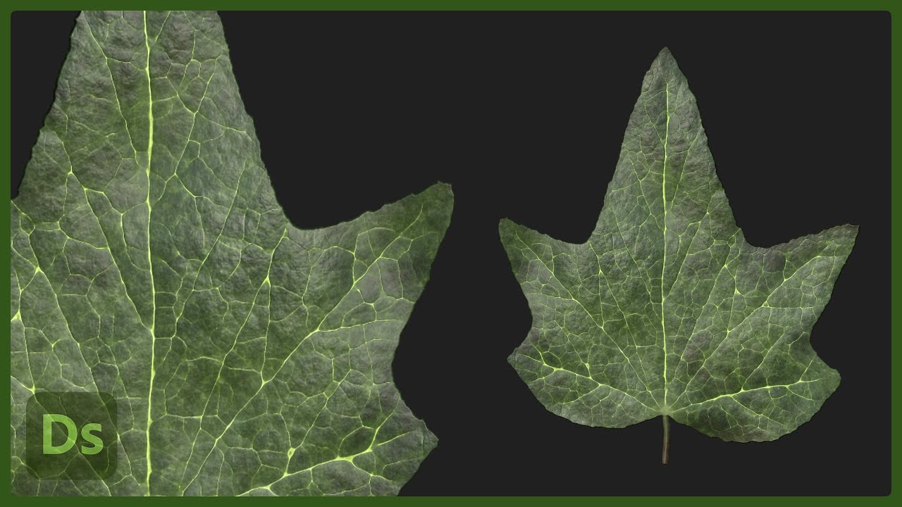 ivy leaf in substance designer - YouTube