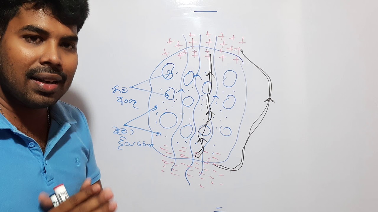 Grade 9 Unit 17 Akunu Anathuru - YouTube