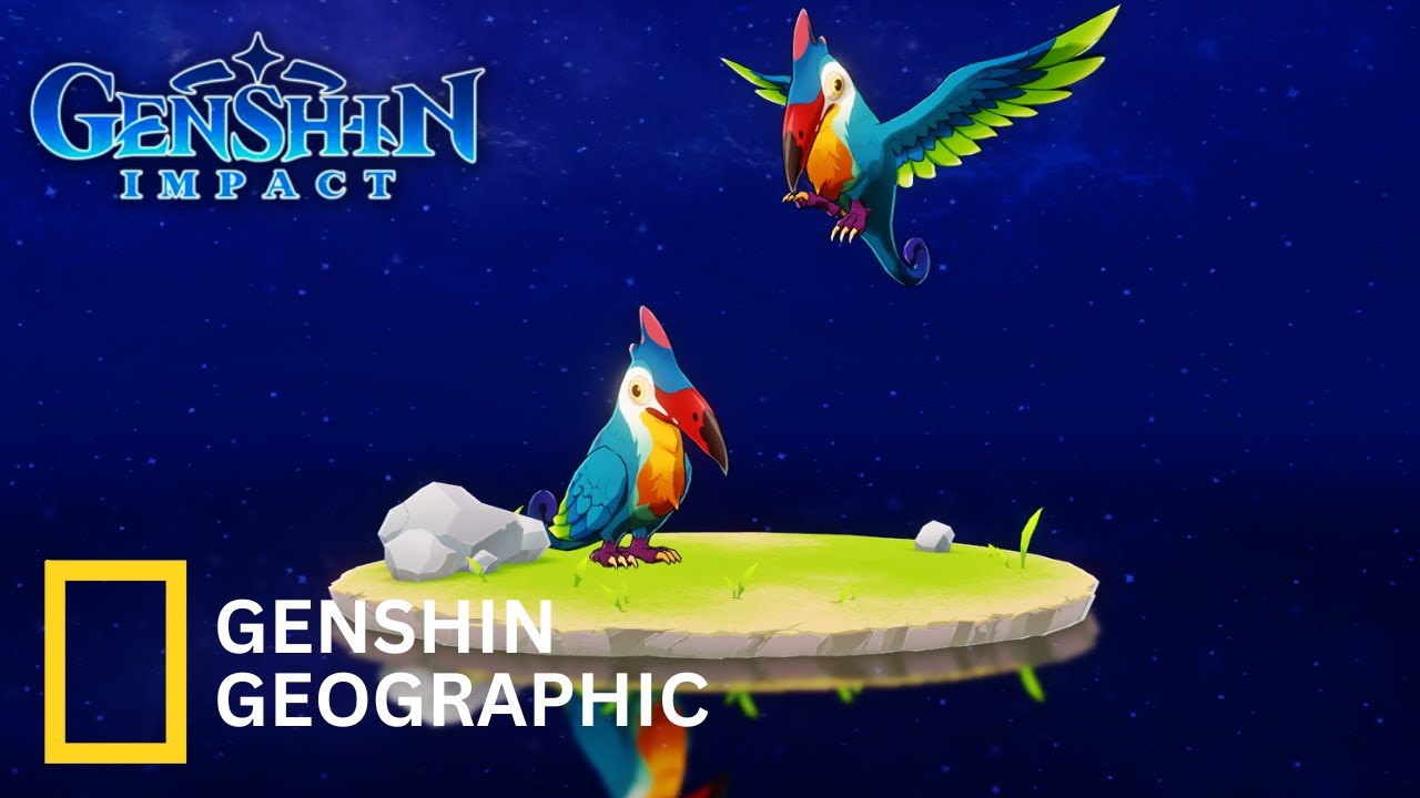 IF GENSHIN HAS A WILDLIFE DOCUMENTARY! (DUSK BIRD) | Genshin Impact ...