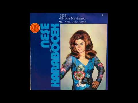 Neşe Karaböcek - Elveda Meyhaneci