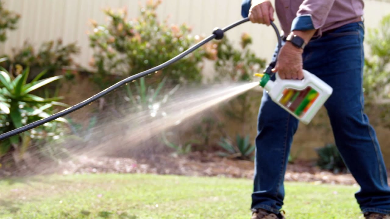 The Garden Gurus - Garden Projects and cool ideas - YouTube