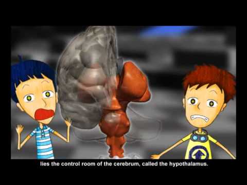 ADHD Animation-A Mysterious Adventure in Brain(English Subtitle) - YouTube