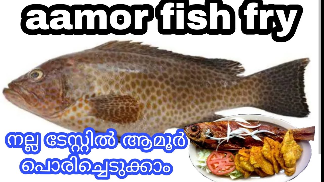 aamor fish fry നല്ല ടേസ്റ്റിൽ ആമൂർ മീൻ പൊരിച്ചടുക്കാം - YouTube
