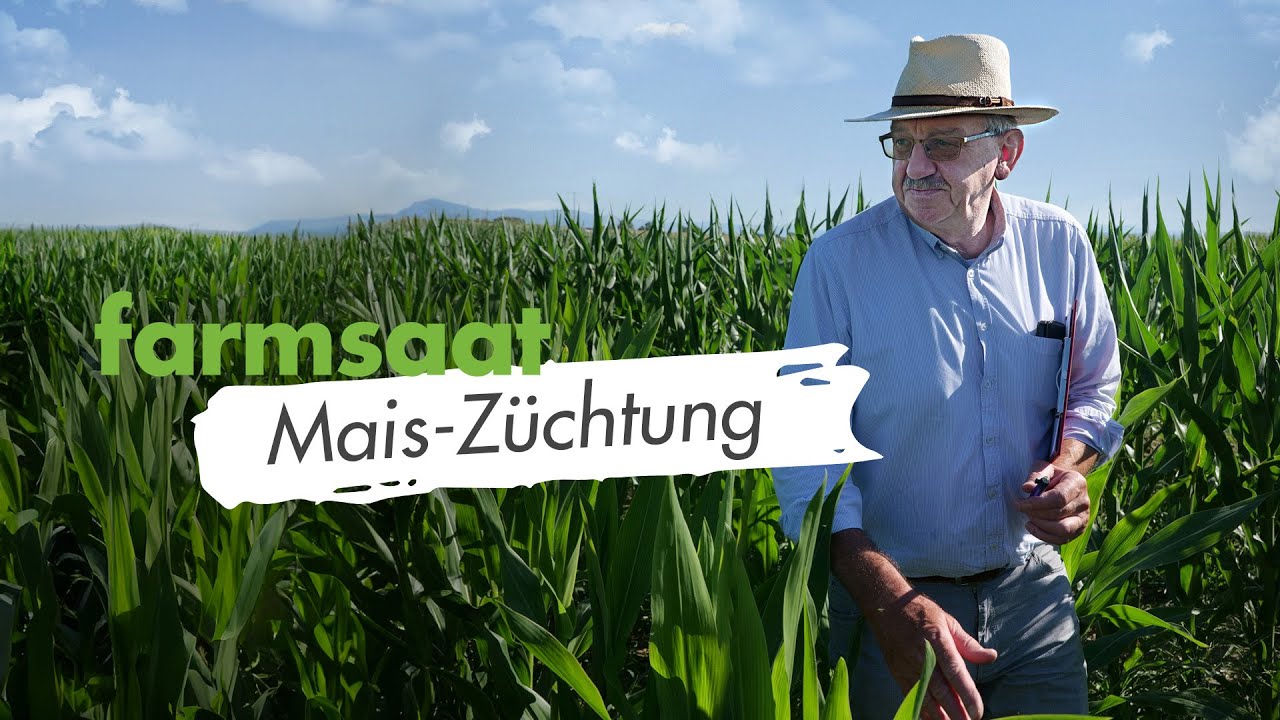 farmsaat Mais-Züchtung in Osterhofen mit Ludwig Feldmeier | farmsaat ...