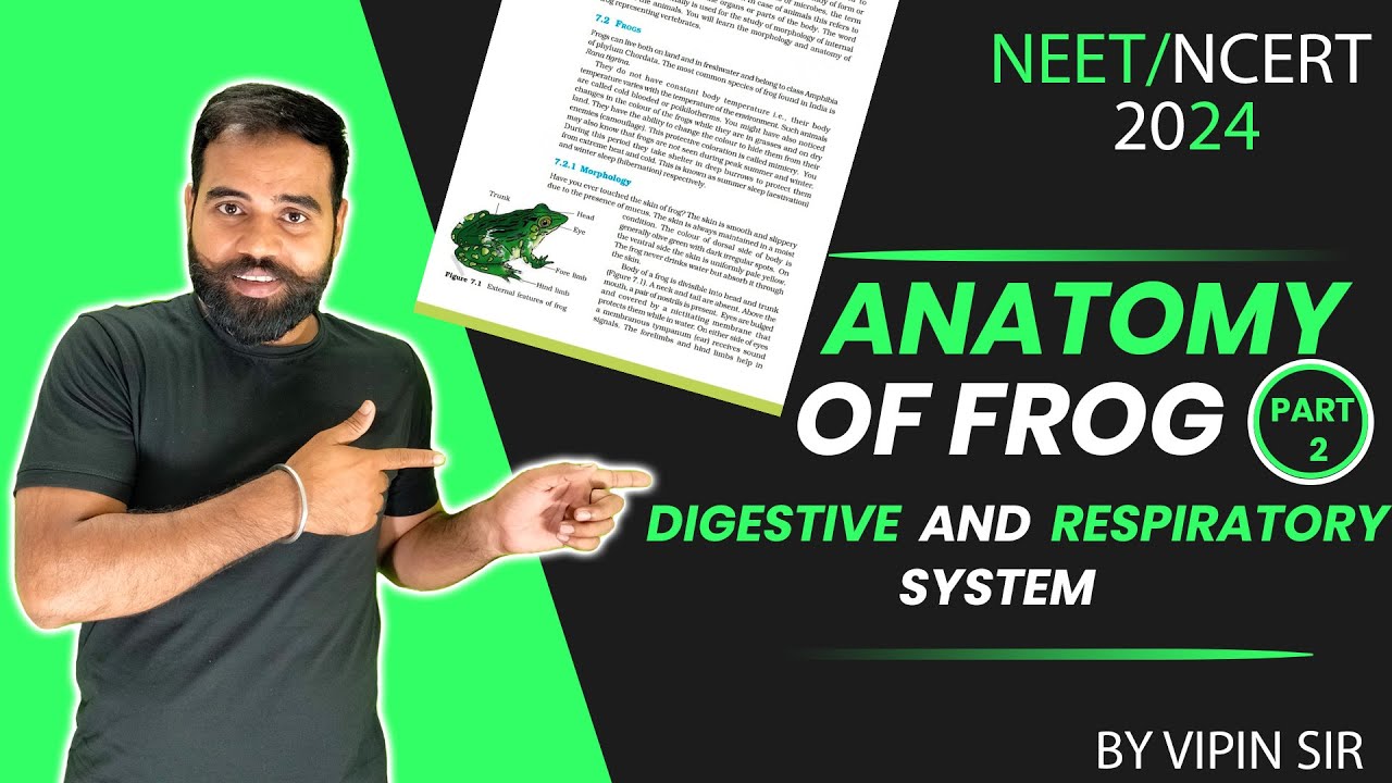Anatomy of Frog , Part 2 , NEET/NCERT 2024 by Vipin sir | Panacea Learning Institute - YouTube