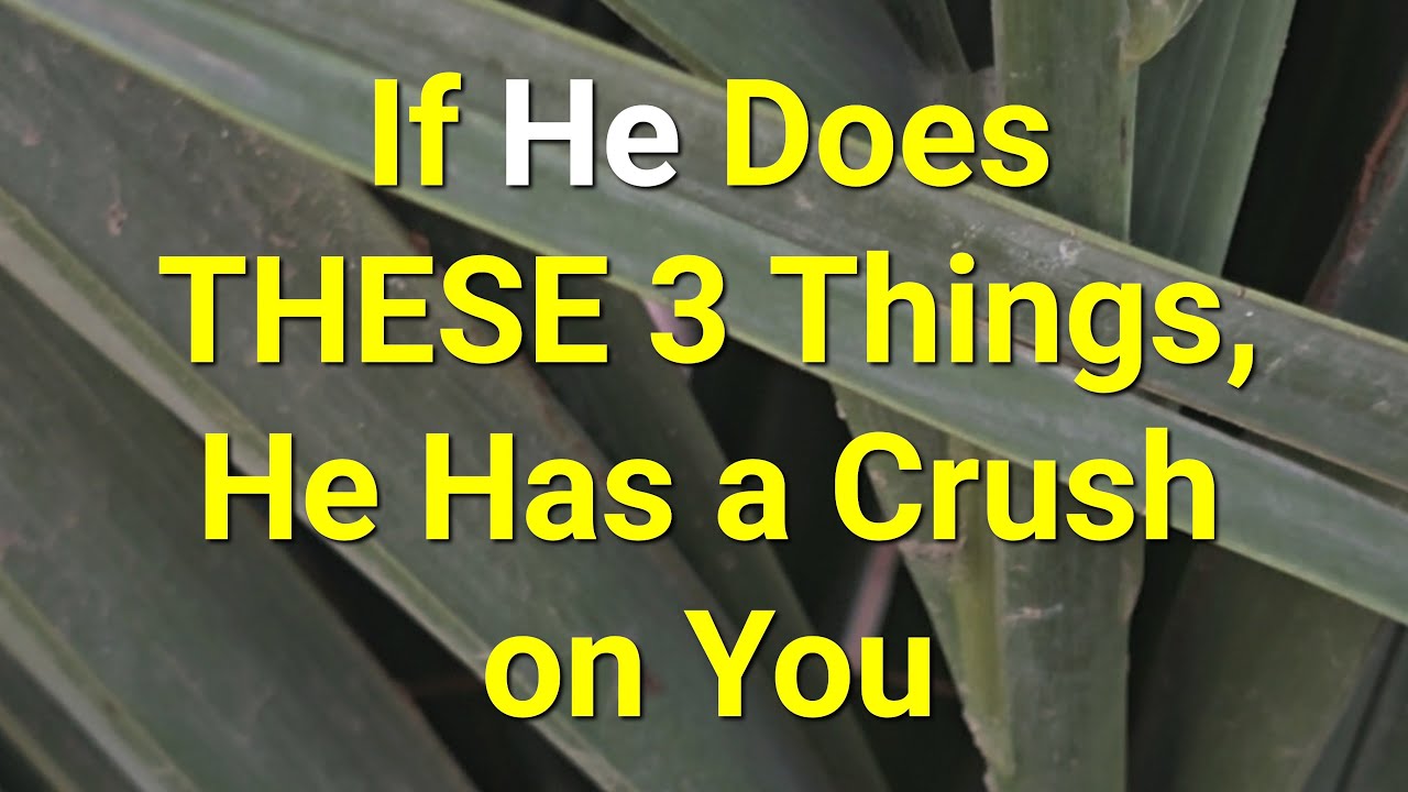 If He Does THESE 3 Things, He Has a Crush on You - YouTube