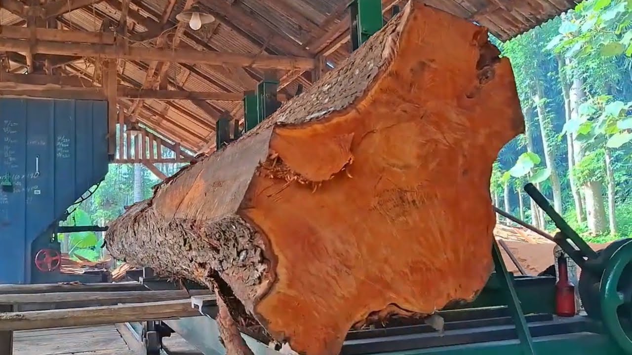 The extraordinary process of turning logs into sheets at a sawmill ...