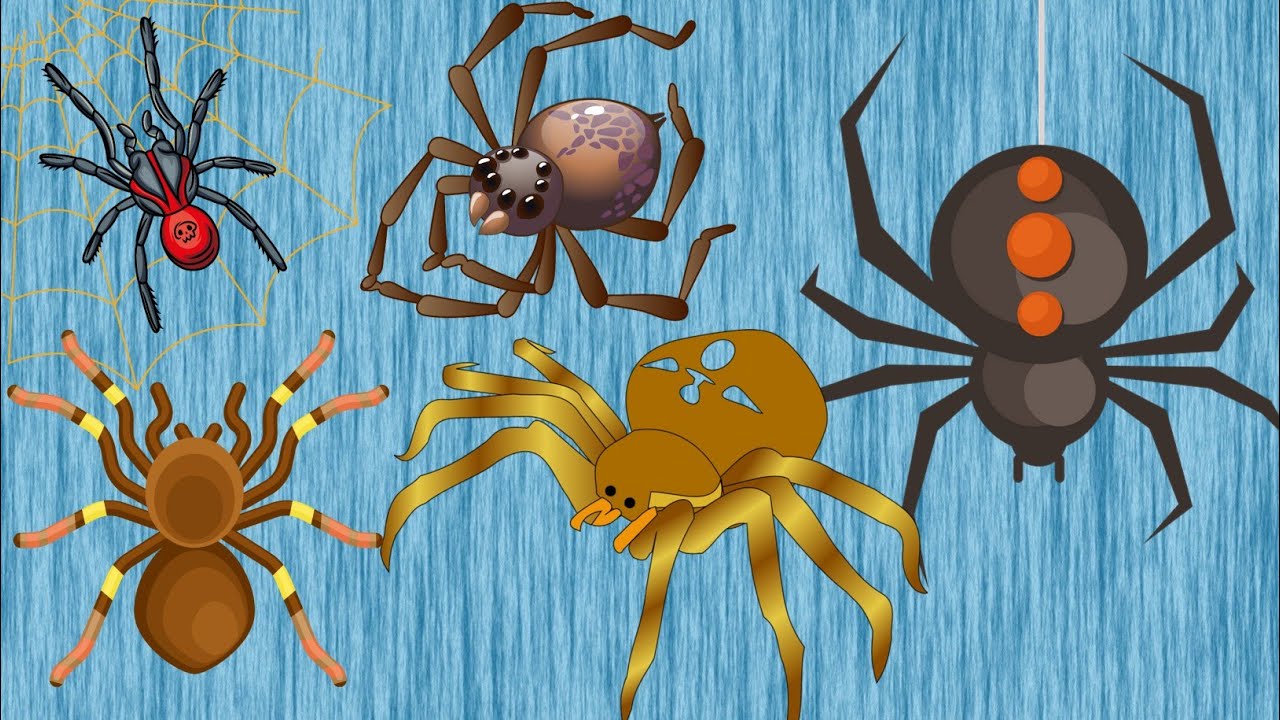 CAT GAMES | catching spiders | SPIDERS & BUGS crawling on the screen ...