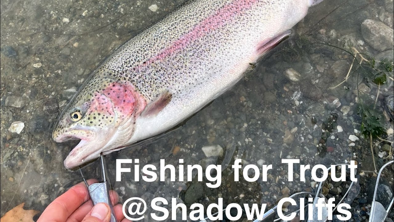 Trout fishing @Shadow Cliffs Reservoir (Lightning trout Plant!) - YouTube