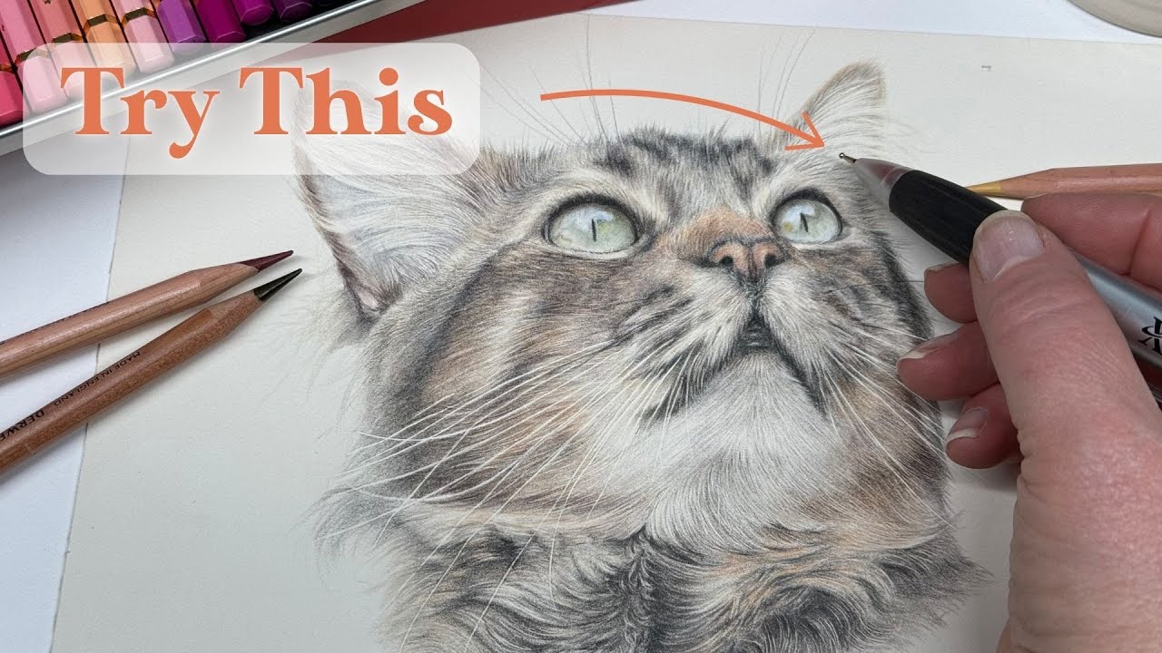 My Top 3 Tips for Drawing Realistic Animals With Colored Pencils - YouTube