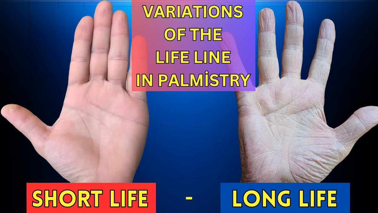 Variations of the Life Line in Palmistry - Long or Short Life - YouTube