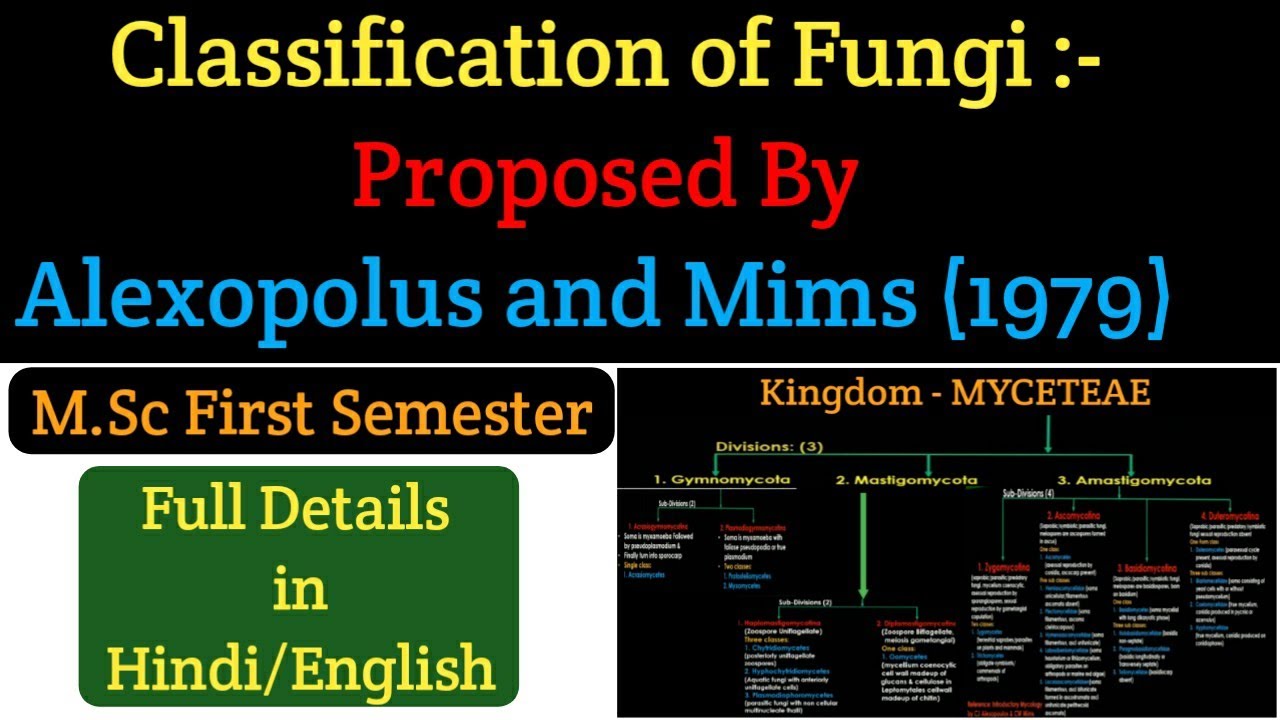 Alexopoulos And Mims Classification Of Fungi Classification Of Fungi
