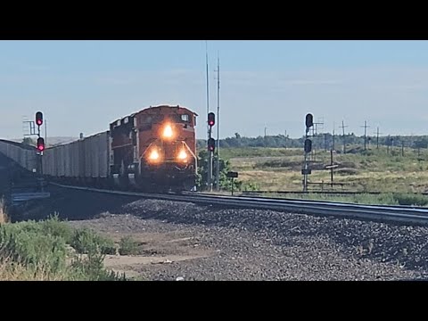 BNSF 8417 SD70Ace Leads Full Coal Train SB with H2 Rear DPU! - YouTube