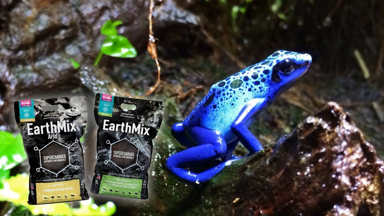 Bioactive Substrates for Reptiles and Amphibians- EarthMix, EarthMix ...