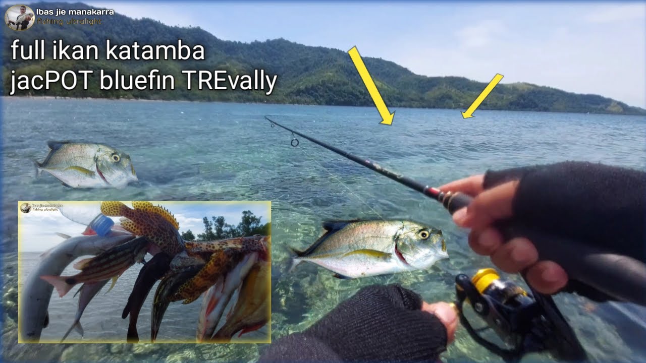 Panen ikan KATAMBA jacpot BLUEFIN TREVALY ‼️ ultralight fishing - YouTube