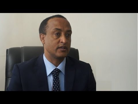 Ethiopia - Meles Alem: Ethiopia and Eritrea on Algiers Agreement ...