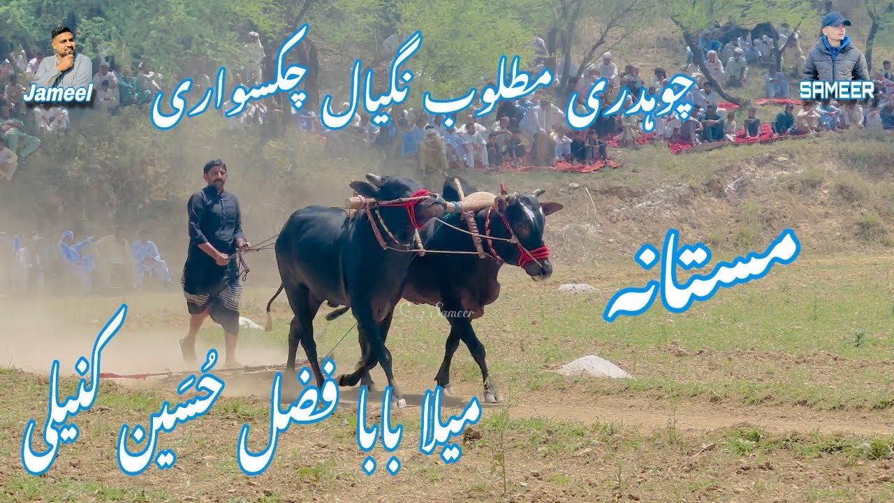 Dand Mastana | ch matloob nagyal Chakswari | mela baba fazal Husain ...