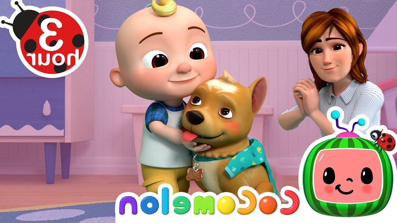 Learning to Take Care of Pets | Cocomelon - Nursery Rhymes | Fun ...