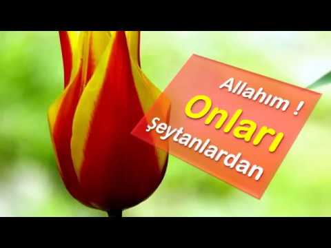 Allahım ! Onları Şeytanlardan , İnsan, Cin, Zalim, Haset Kimselerden Ve Tüm Yarattıklarının Şerri