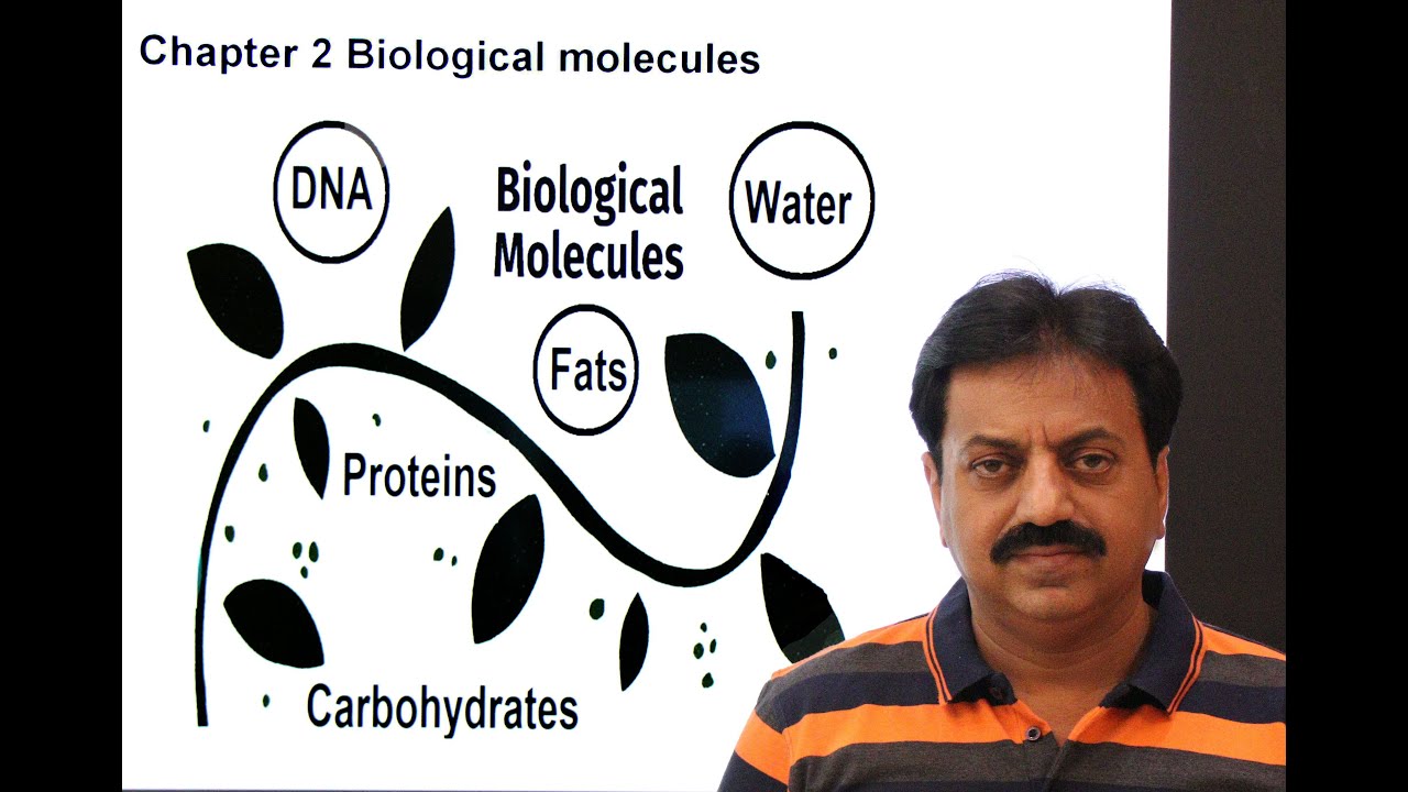 Biological Molecules / First Year Biology / Chapter 2 / Part 1 - YouTube