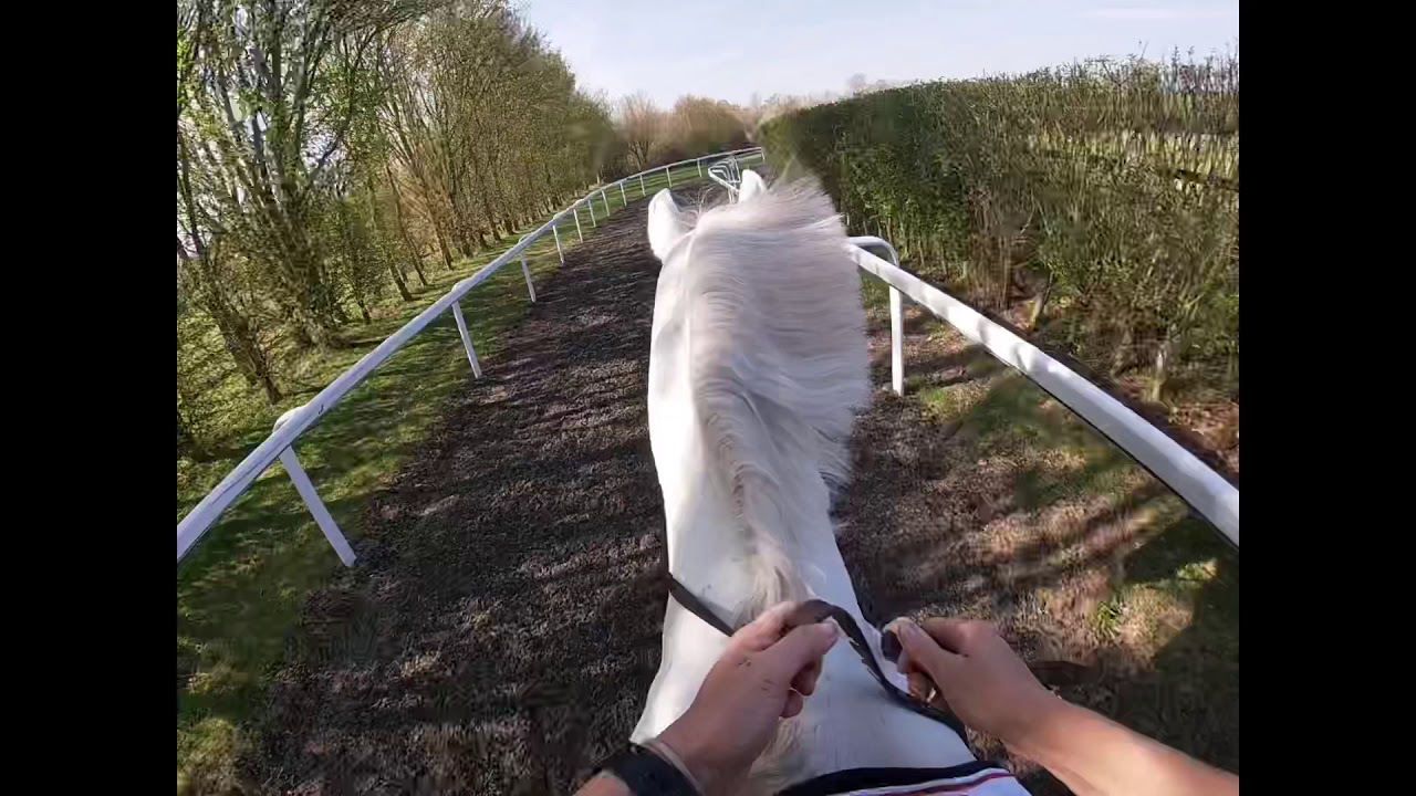 Working Winston on the gallops - a typical flatwork session . - YouTube