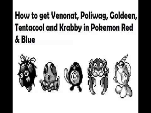 how to get Poliwag, Venonat, Goldeen, Tentacool and Krabby in Pokemon ...