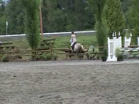 Ready Teddy, Island 22 Horse Trials '09- Pre-Entry Division (Stadium ...
