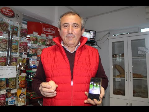 Hırsız Karga: Marketten Yumurta Ve Patates Cipsi Çalıyor