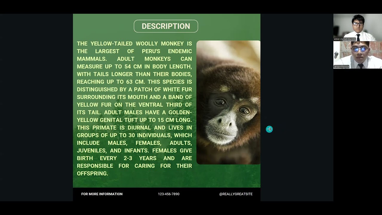 FINAL PROYECT - ORAL PRESENTATION - YouTube