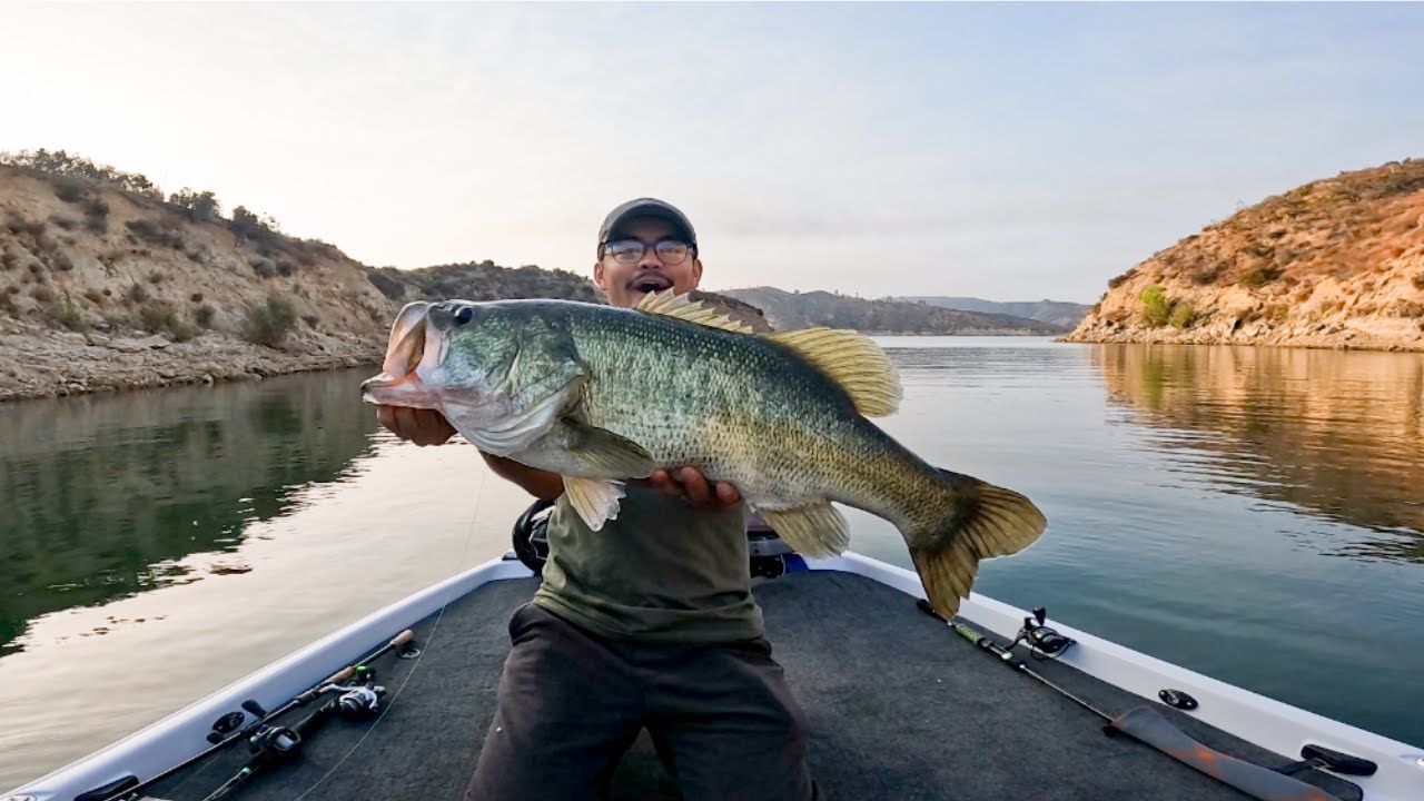 CASTAIC LAKE MONSTER BASS | PB LARGEMOUTH BASS - YouTube
