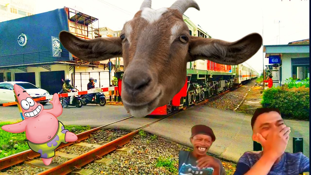 Impossible..The Head Train Turns Into A Goat 😱🤣 @funnyworldoftrains7678 ...
