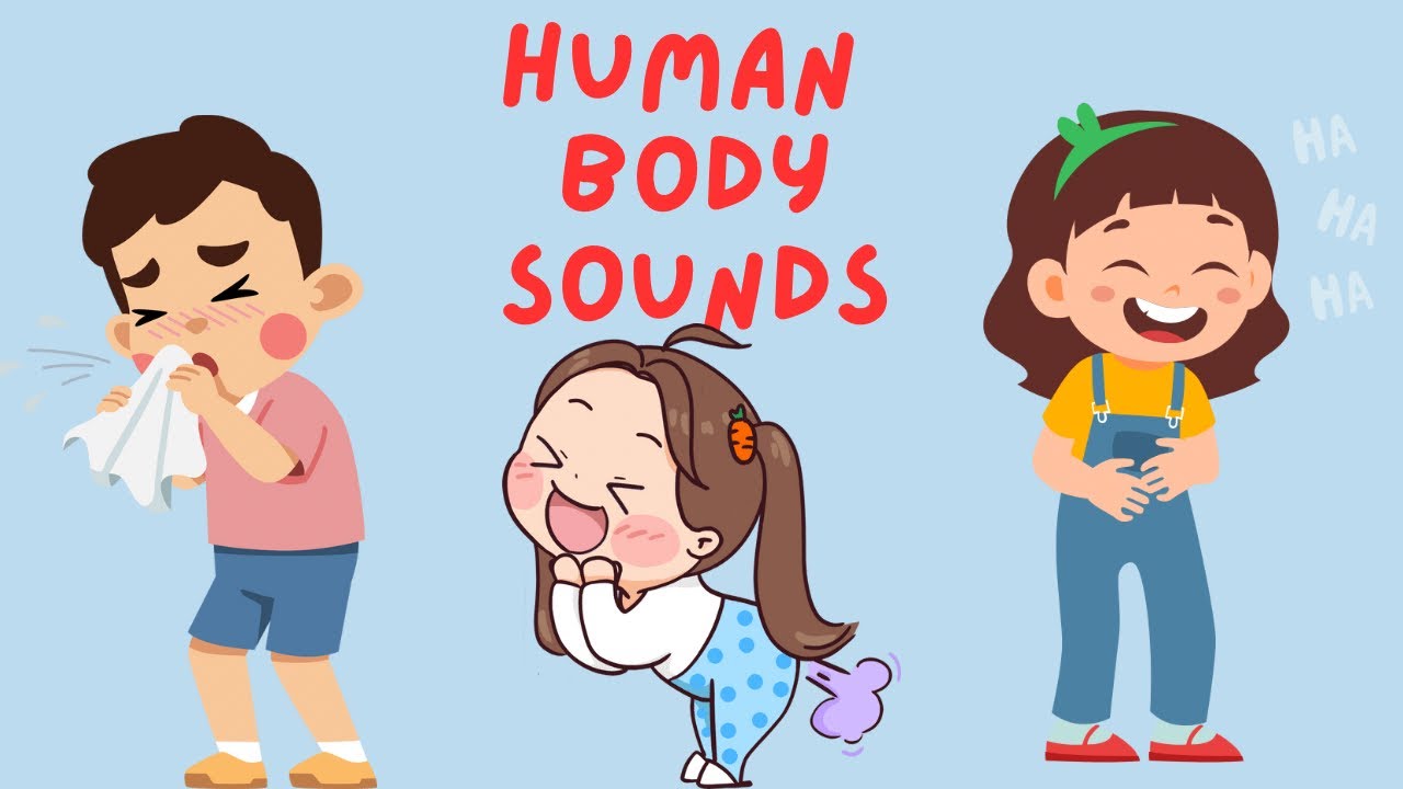 20 Human body sounds | Learn to read | Body language - YouTube