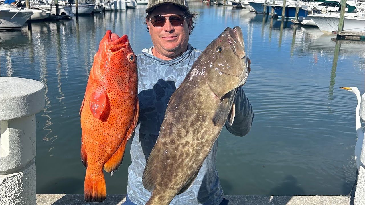 Discover The Largest Grouper Ever Caught A Z Animals - Free Word Template