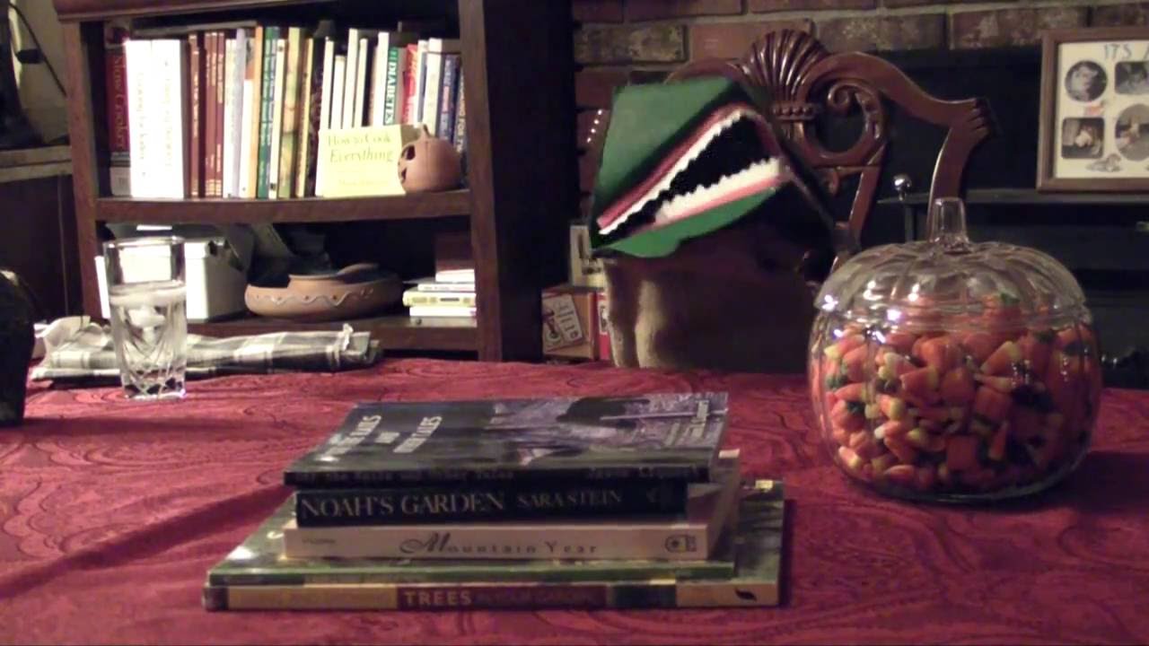 Seymour, the Monster Plant Puppet, in the Green Room - YouTube