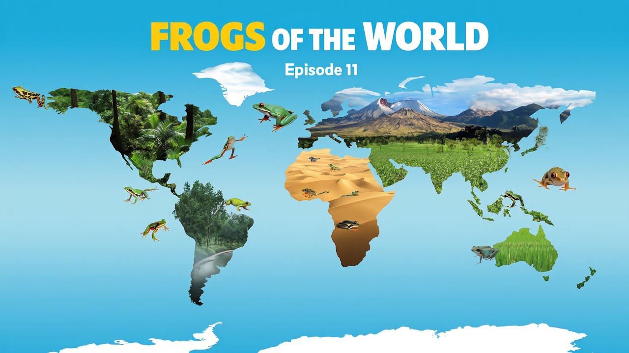 "Frogs of the World: Episode 11 – The Evolution of Frogs Across ...