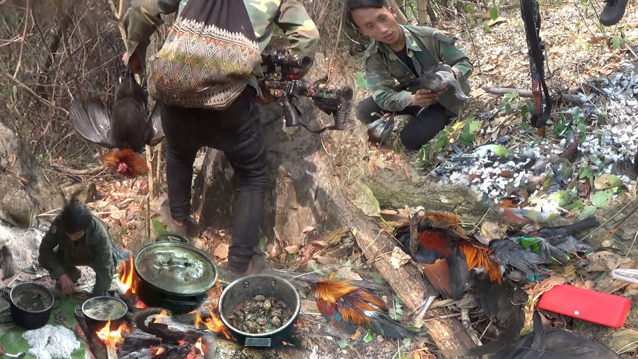 Hunting Wild Chicken, Birds and Cooking In The Mountains | Yos hav zoov ...