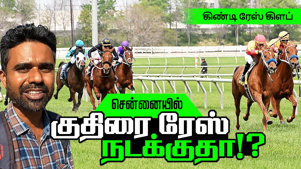 குதிரை Race எங்க எப்படி நடக்குது ? கிண்டி ரேஸ் கிளப் I Guindy Race Club ...