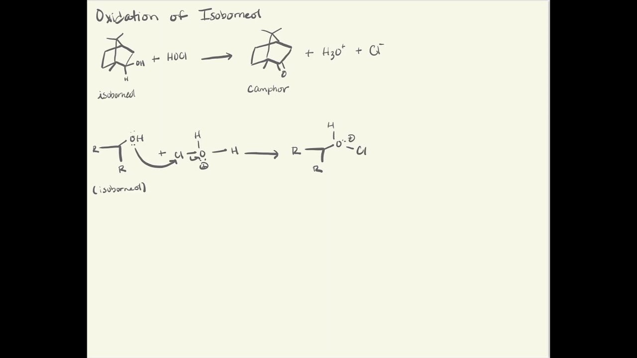 Oxidation of Isoborneol (Group 9) - YouTube