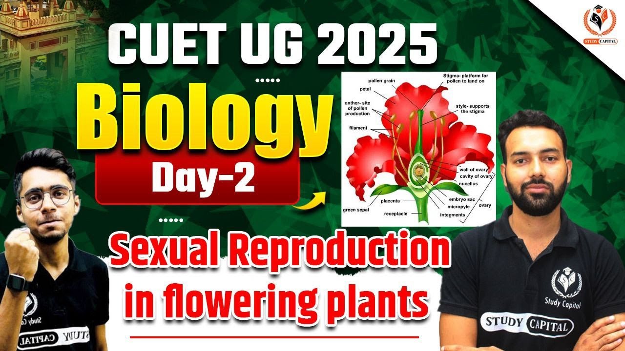 Class 12th Biology | Sexual Reproduction in Flowering Plants Chapter-1 ...
