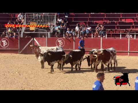 Encierro urbano Yuncos 11/09/25