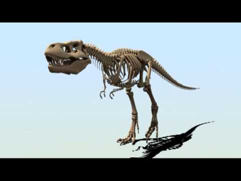 T-Rex Walk Cycle - YouTube