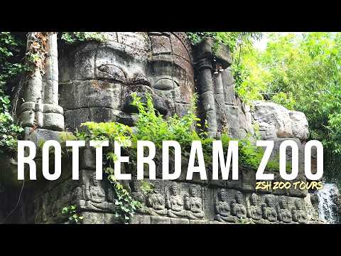 Rotterdam Zoo Tour | The Most Visited Zoo in the Netherlands! | Diergaarde Blijdorp