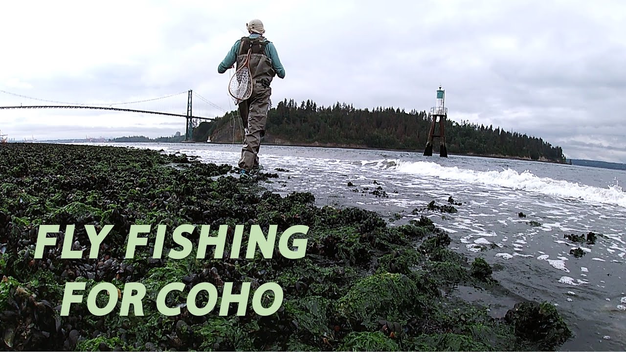Fly Fishing for Coho Salmon || Ambleside Beach and the Capilano Estuary ...
